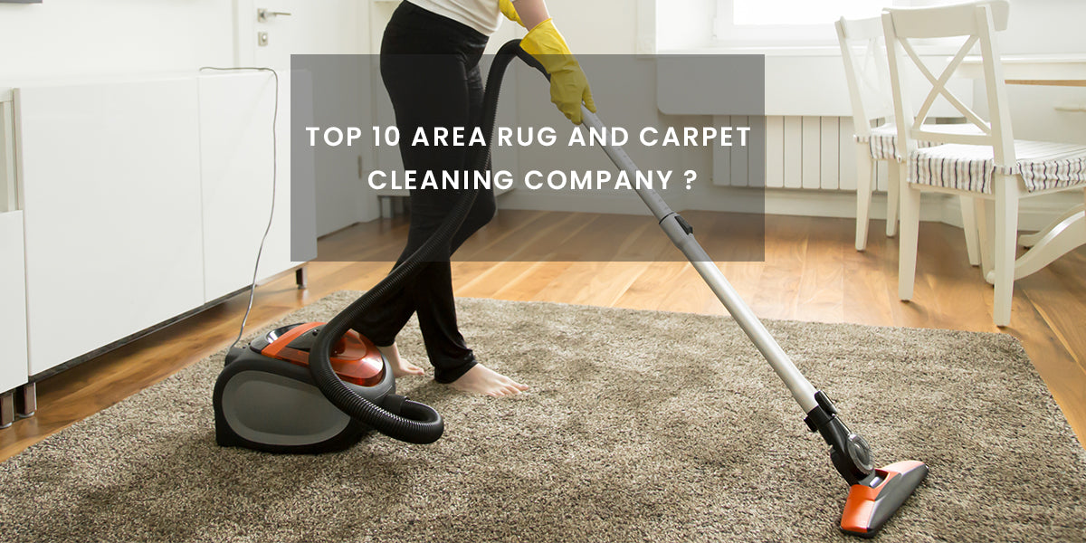 Best 10 Area Rug and Carpet Cleaning Companies | USA