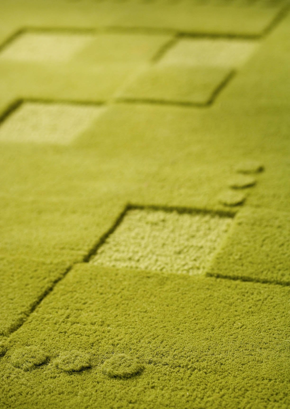 Miami Green Living Room Area Rug – Vinson Collection